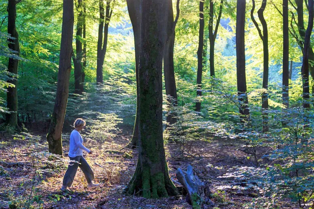 Wandelroute Rondje Voorthuizen - Visit Regio Barneveld